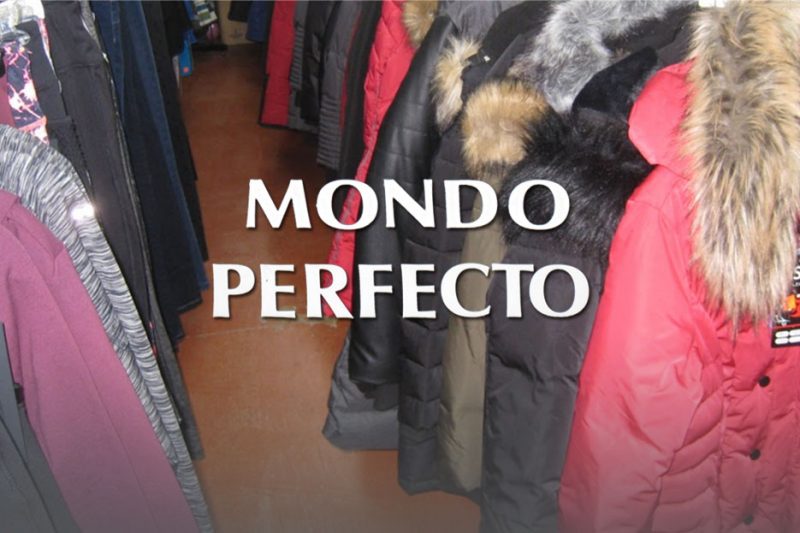 Mondo Perfecto | All Wemontreal